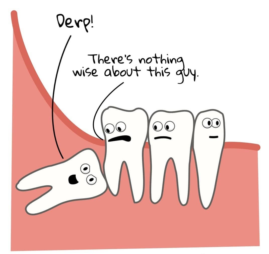 Dr. Binish Fatma (@BinishFatma2) | Twitter