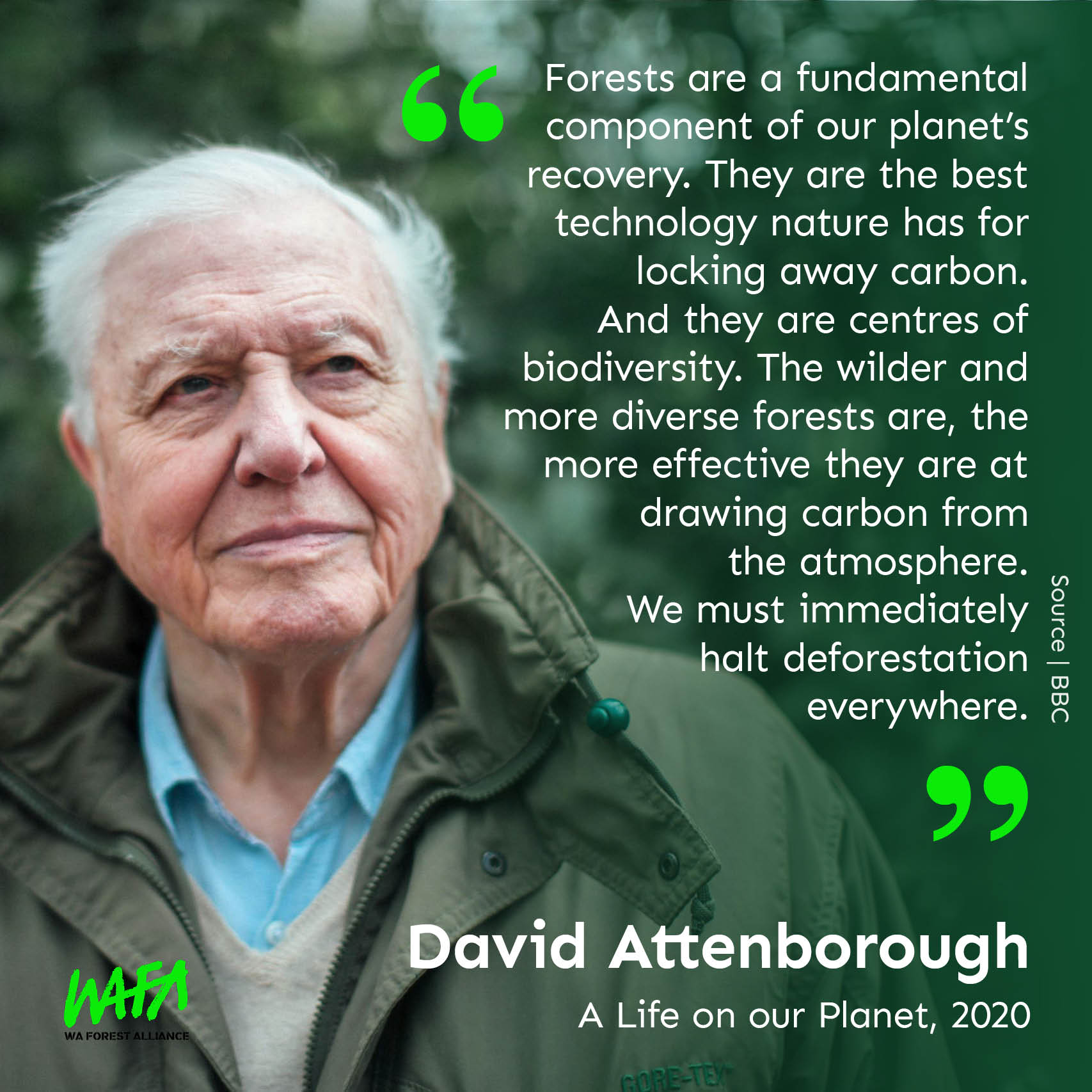 WA Forest Alliance on Twitter: "A quote from David Attenborough's ...