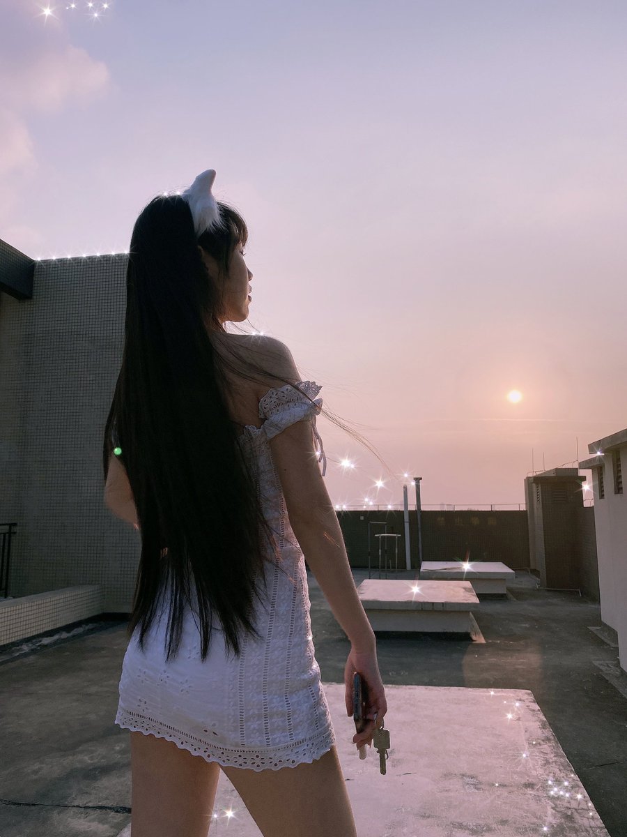 呆呆(@budaidaimao ):小狐狸