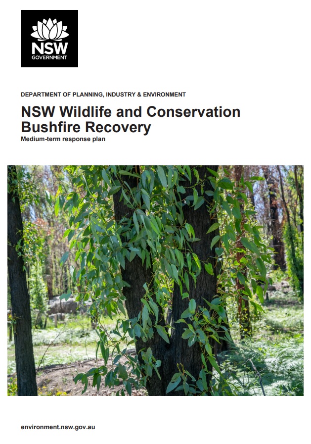 KATE FITZSIMONS IS 2018 CRONULLA WOMEN OF THE YEAR – Mark Speakman