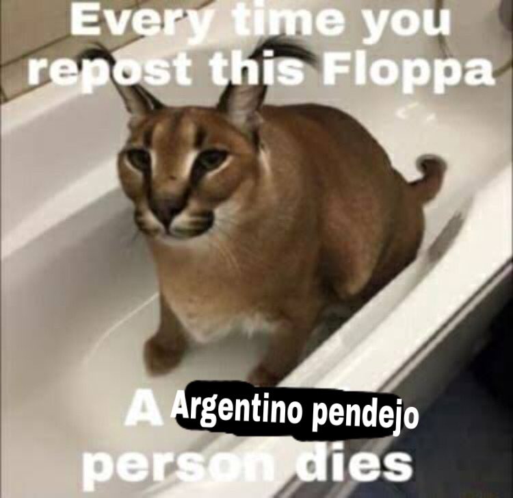 5ntexto (@5ntexto) | Twitter