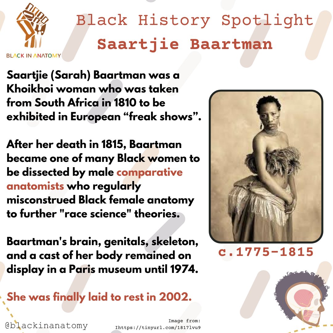 Sarah Baartman Museum Display