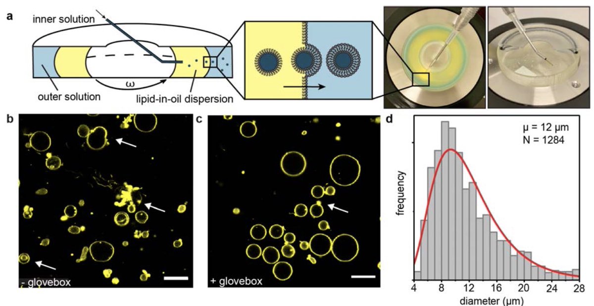 Home - Cees Dekker Lab