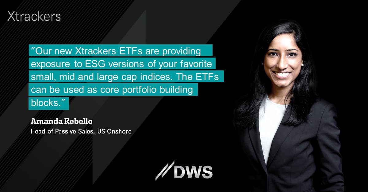 Xtrackers Portfolio Etf DWS Launches AI & Big Data ETF | ETF Strategy