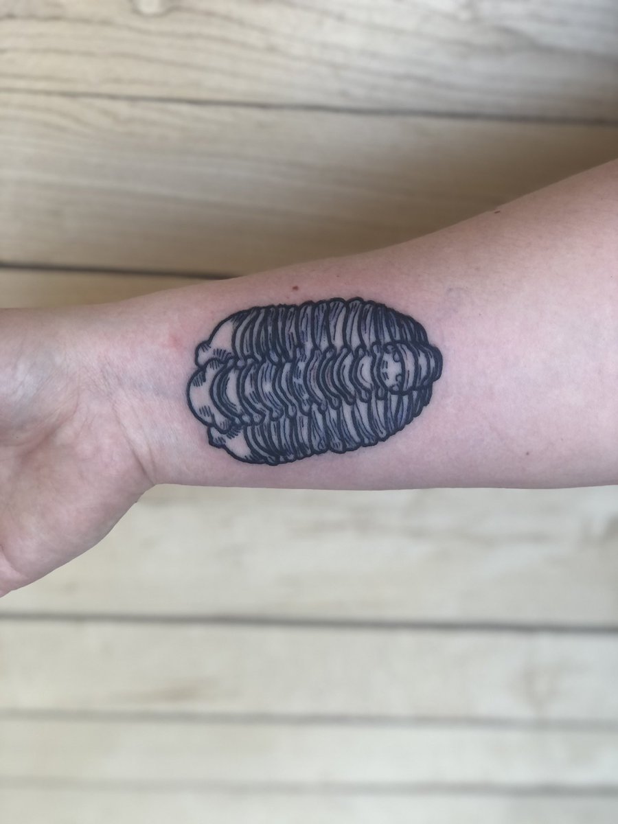 Trilobite Tattoo