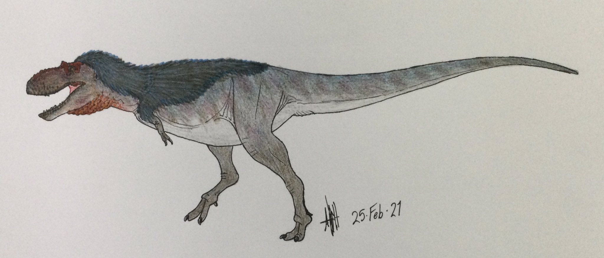 Albertosaurus Feathers