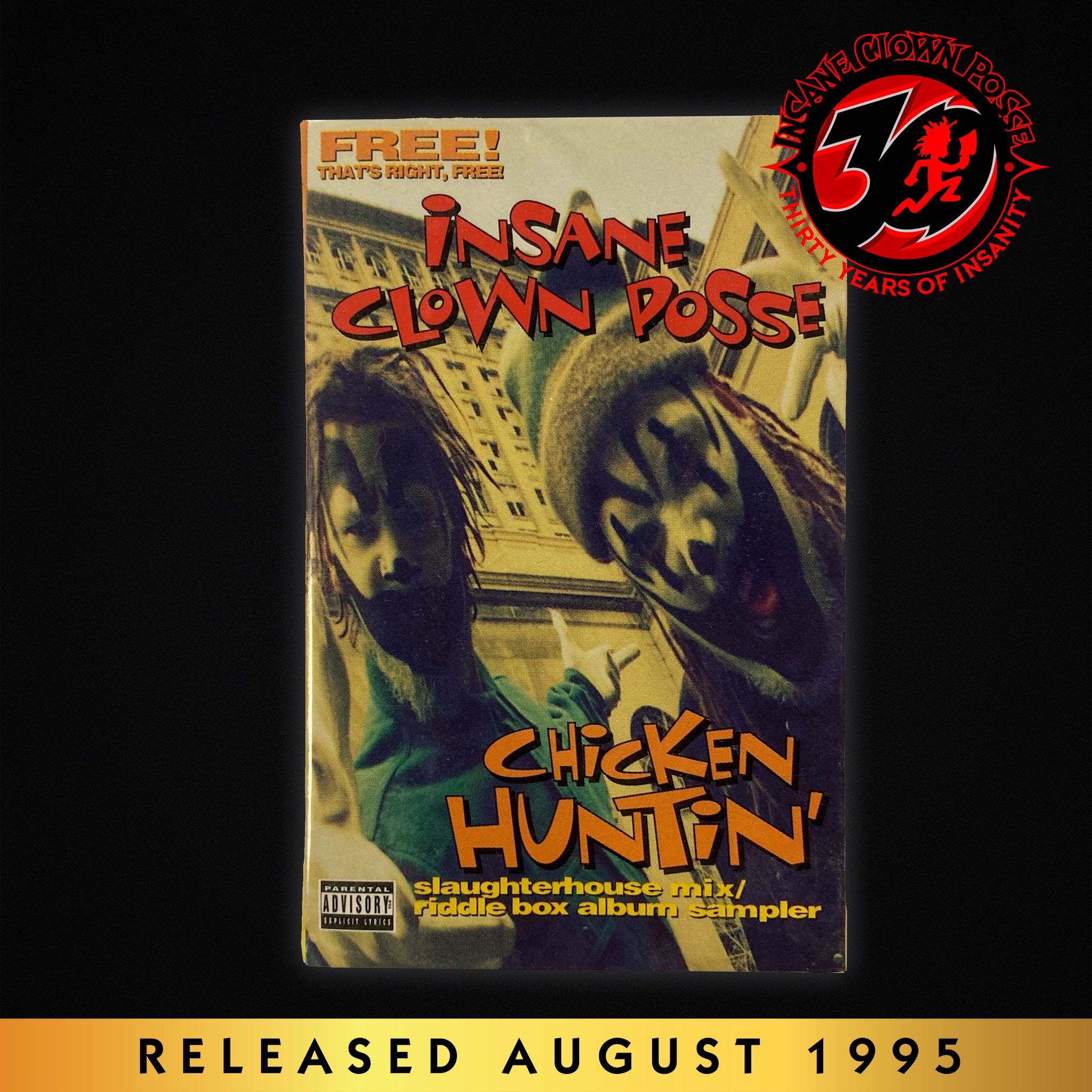 Riddle Box Album Cover