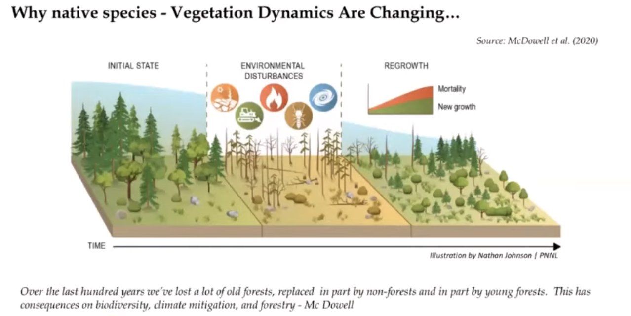 Primary Succession Timeline