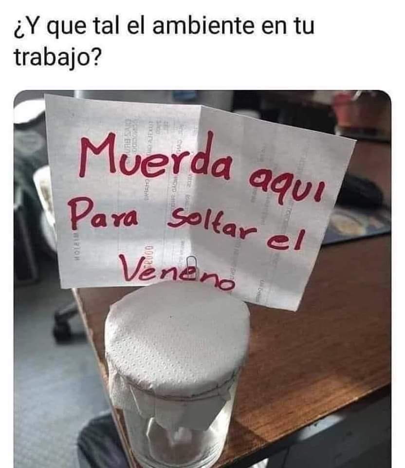 Las Viboras Memes A Las Serpientes Y Envidiosos