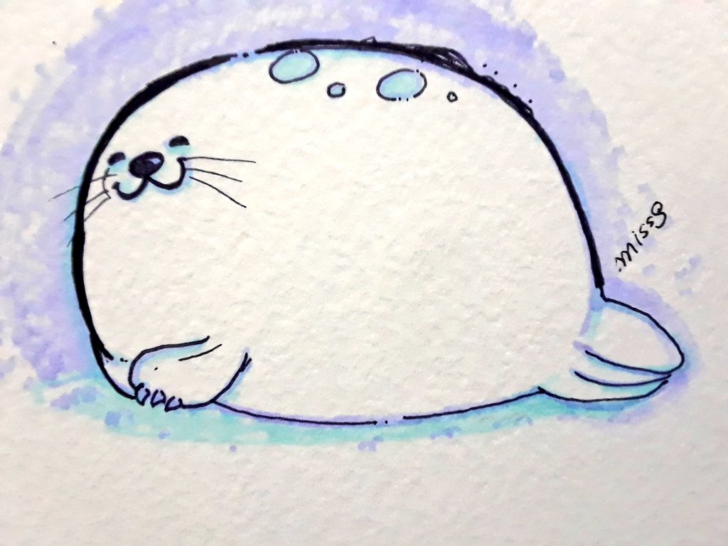 Cute Seal Drawing
