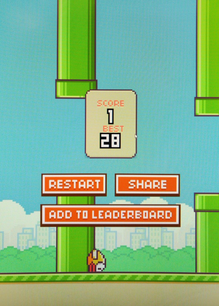 Flappy Bird High Score Screenshot