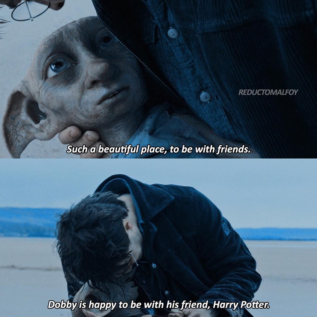 Harry Potter World On Twitter What A Beautiful Place To Be With Friends Dobby Is Happy To Be