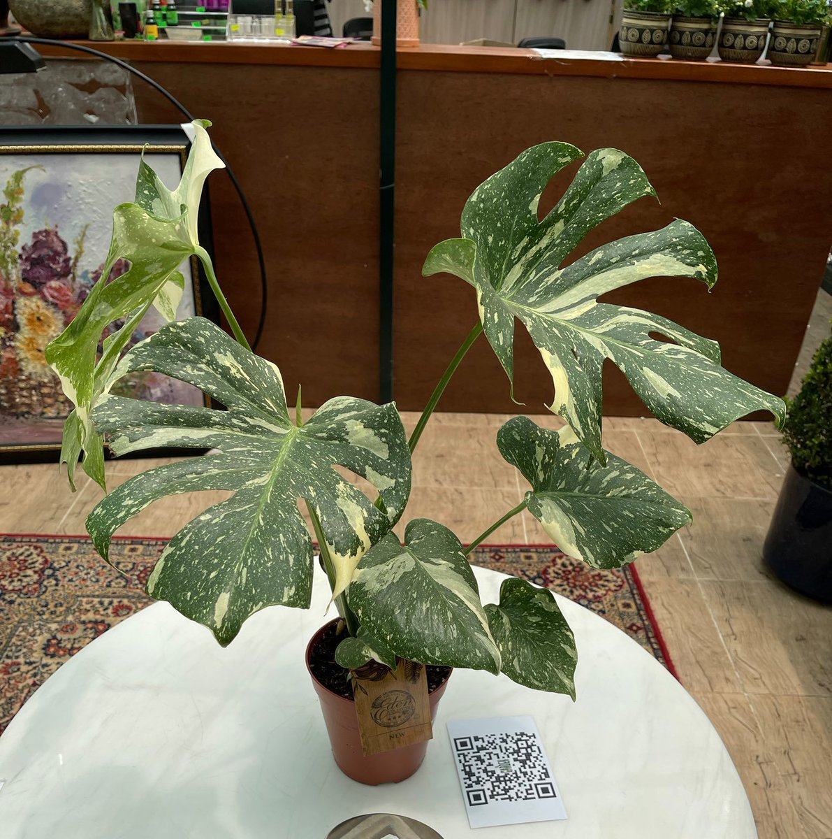 josiah bulama (@JosiahBulama) | Twitter