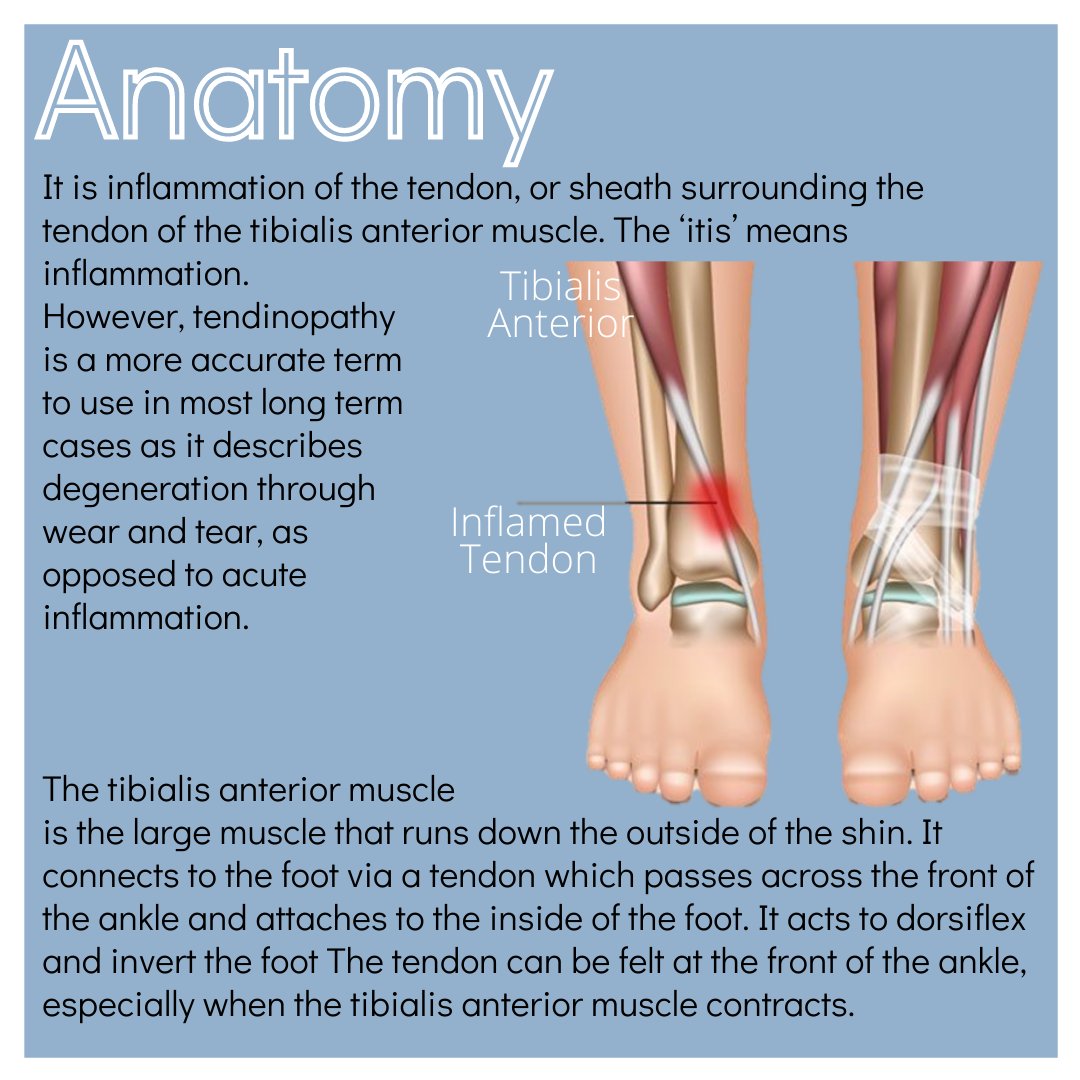 Tibialis Anterior Tendon Tear