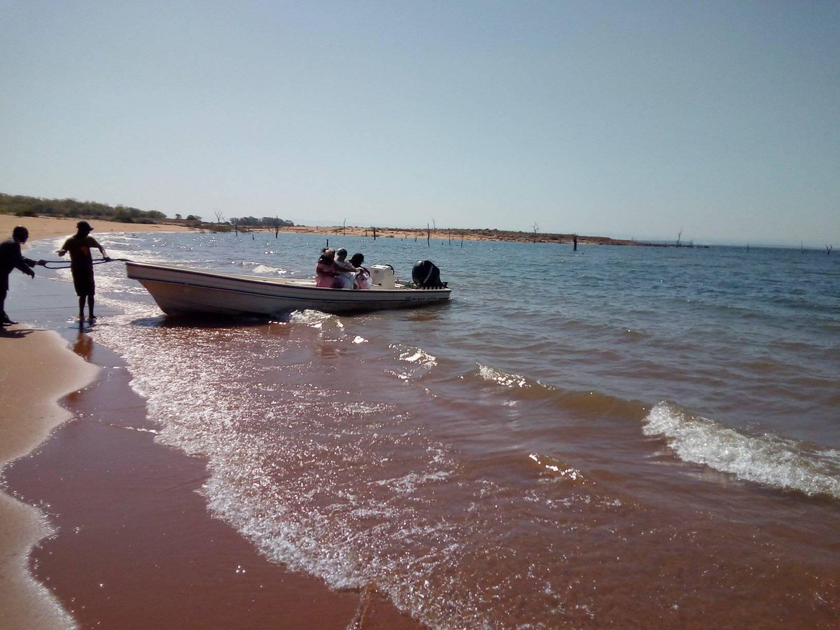 Zim Local @zimlocals Timeline, The Visualized Twitter (Analytics)