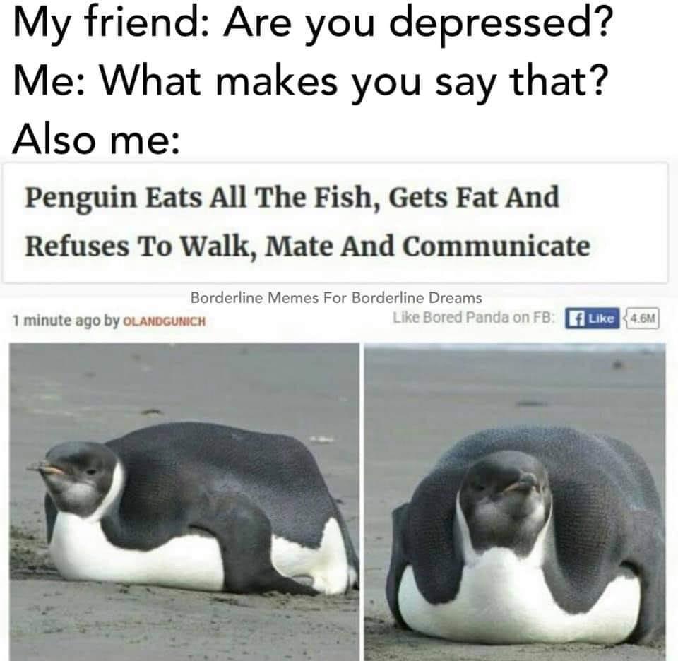 Nothing To Say Meme