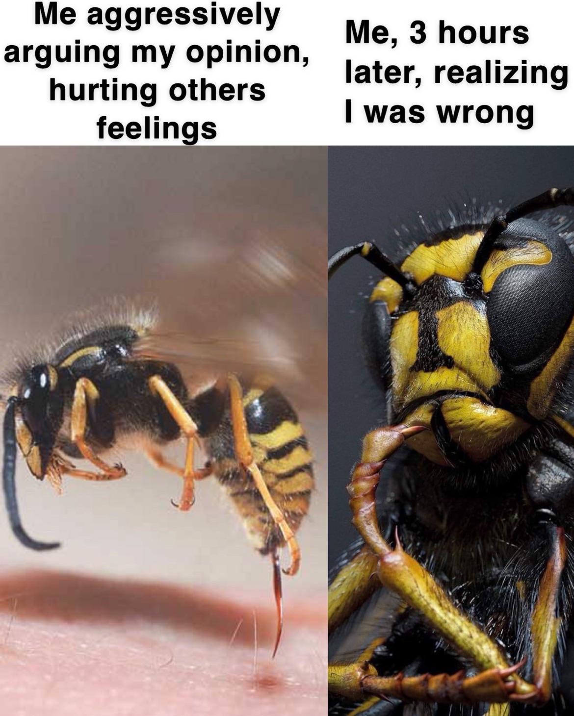 This Is A Wasp Meme