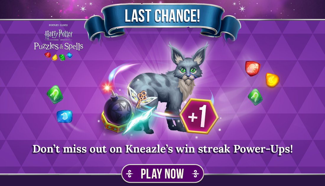 Kneazle Harry Potter