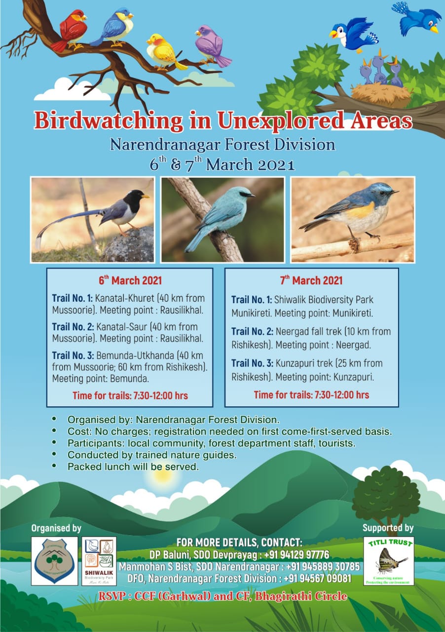 What Is The Point Of Bird Watching