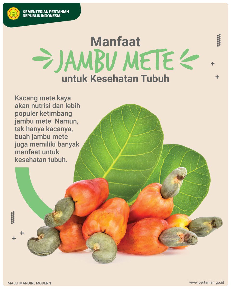 Buah Jambu Monyet
