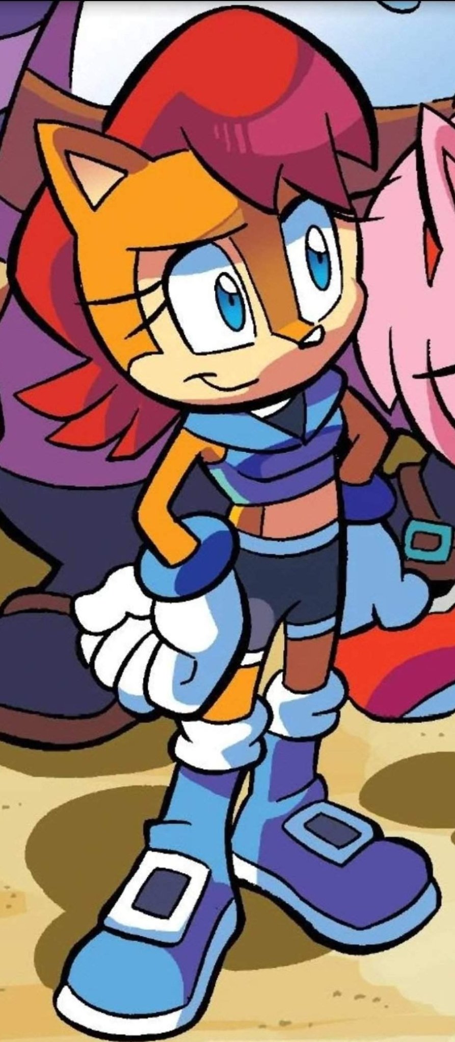 Sally Acorn Redesign