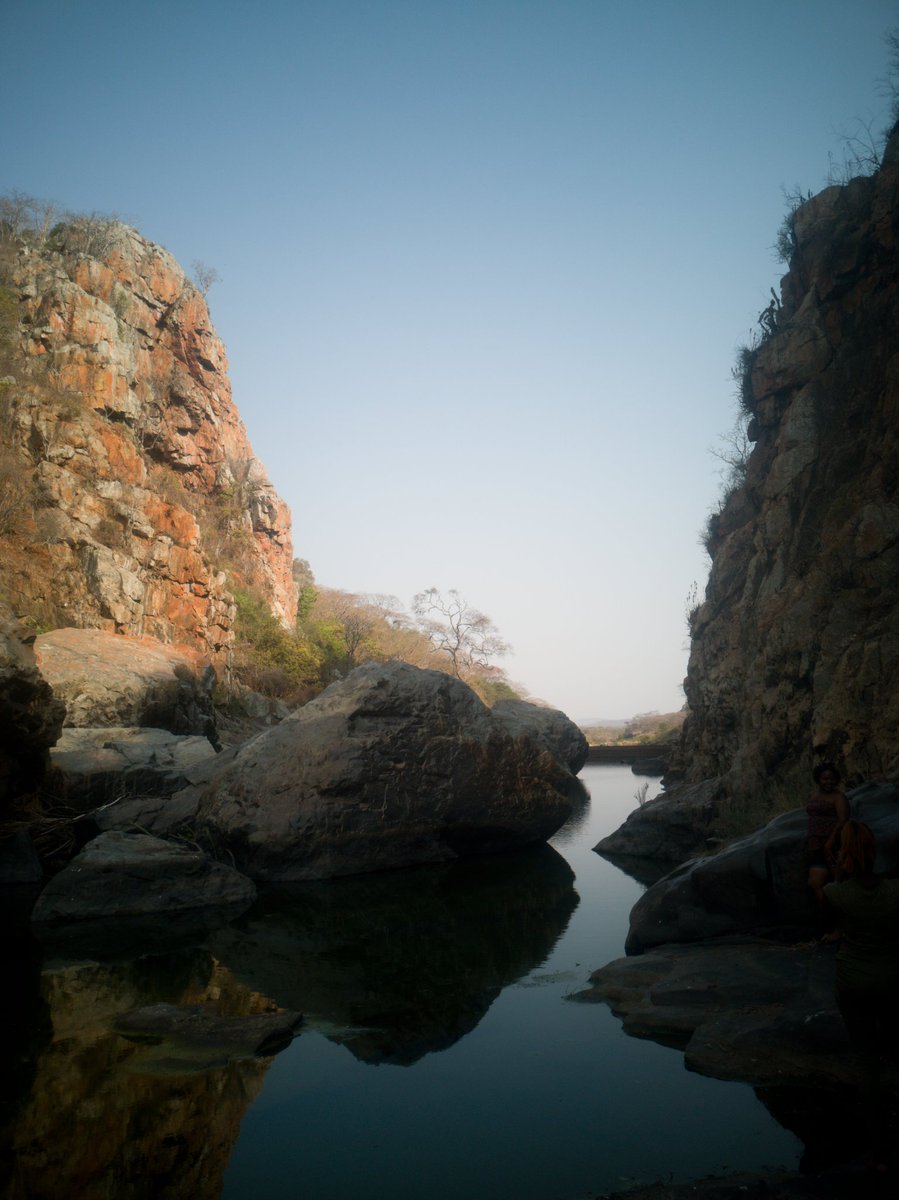 Zim Local @zimlocals Timeline, The Visualized Twitter (Analytics)