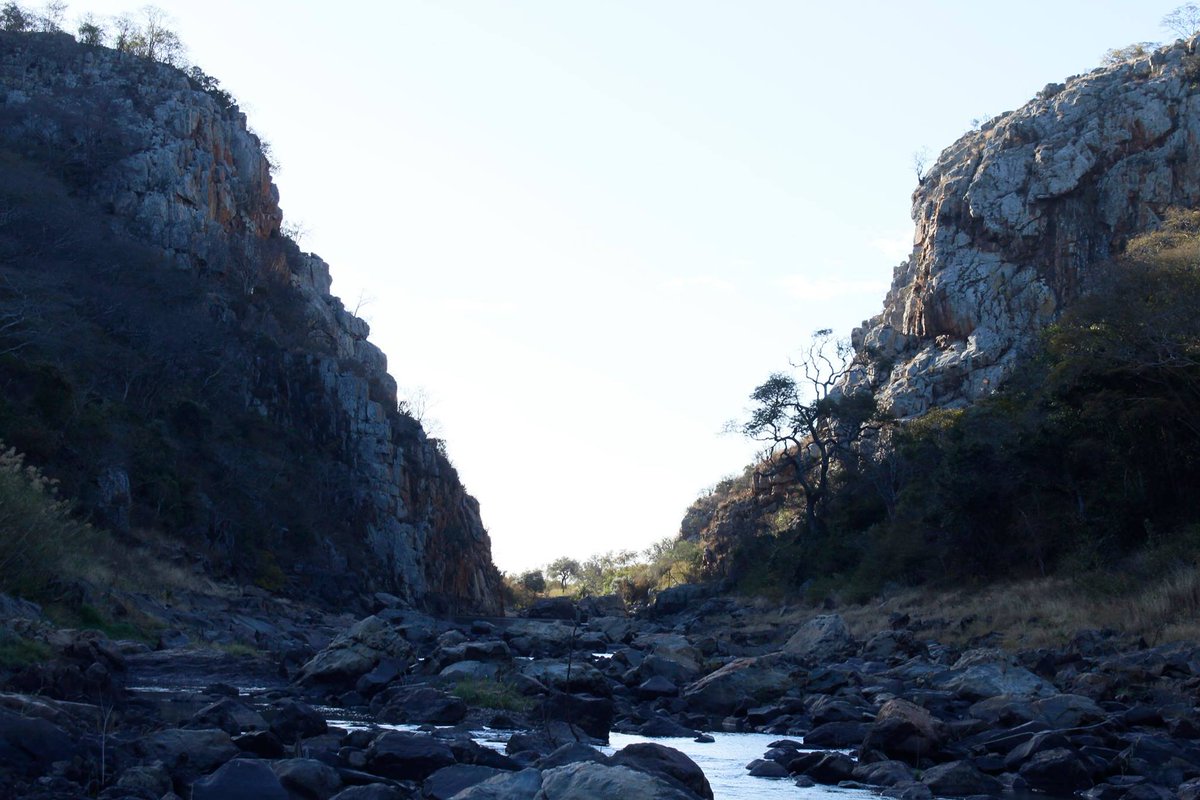 Zim Local @zimlocals Timeline, The Visualized Twitter (Analytics)