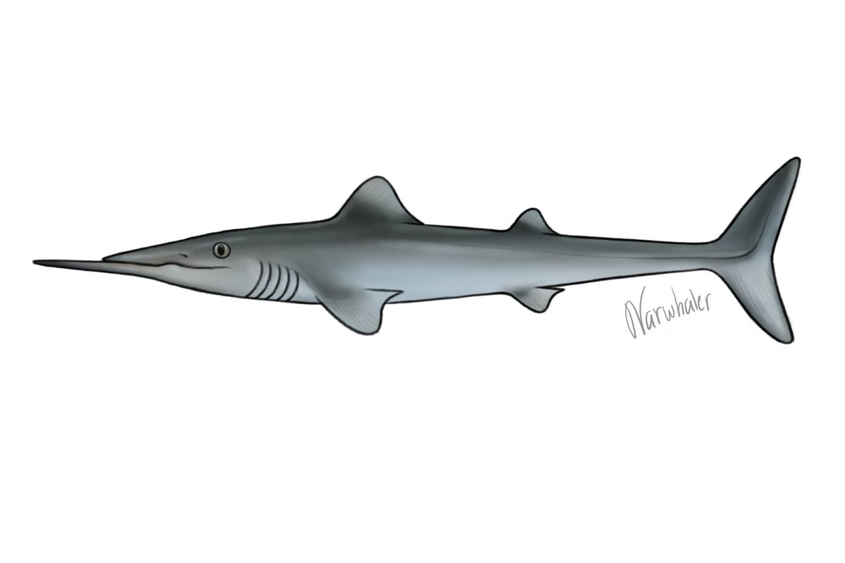 Ornithoprion