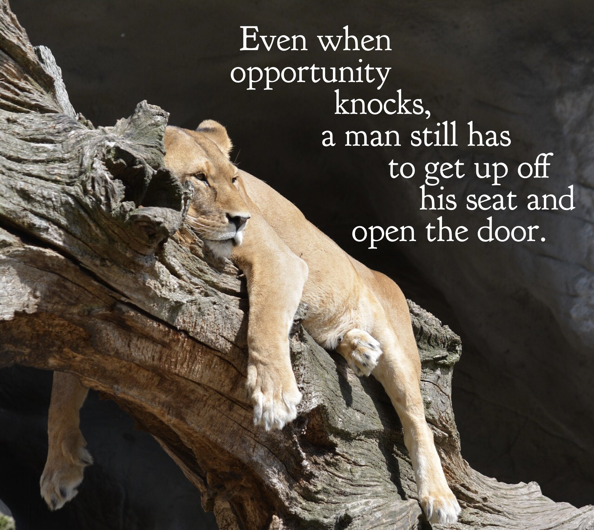 Opportunity Knocks Door
