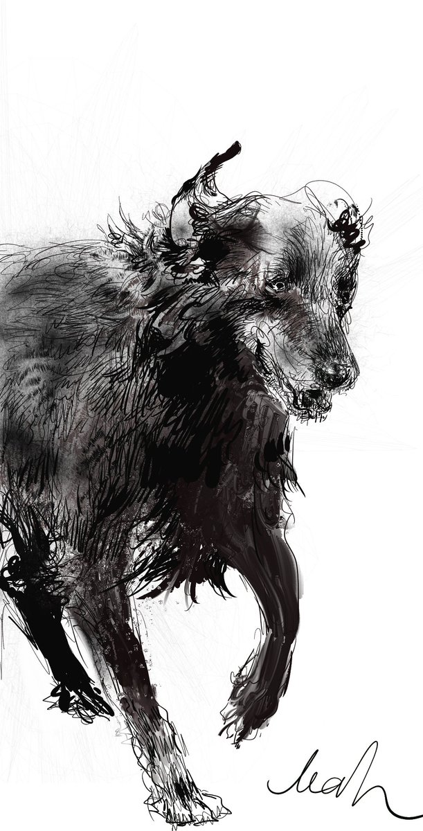 Twoucan - Mah (@mah_hirano)