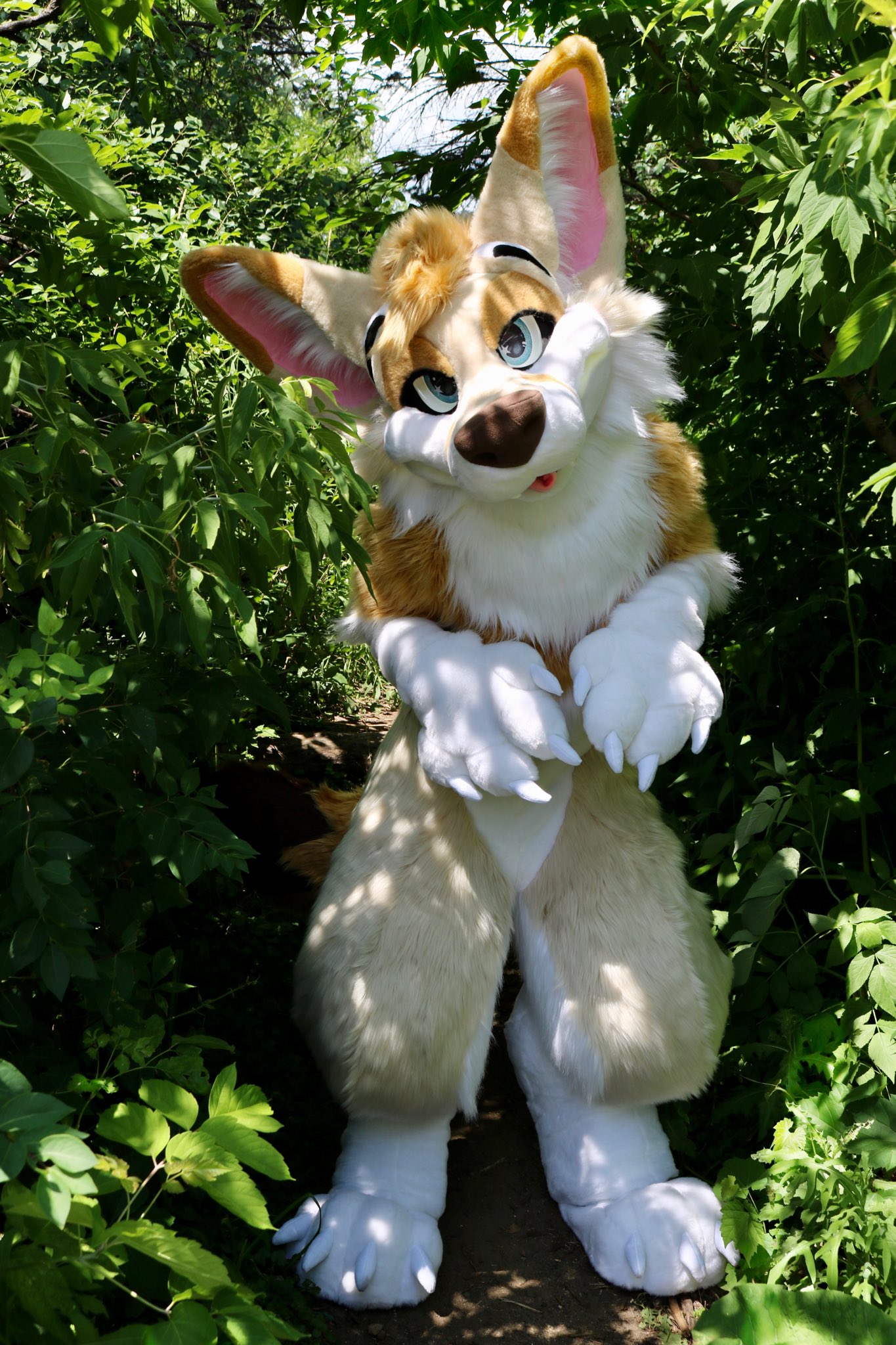 Fennec Fox Fursuits