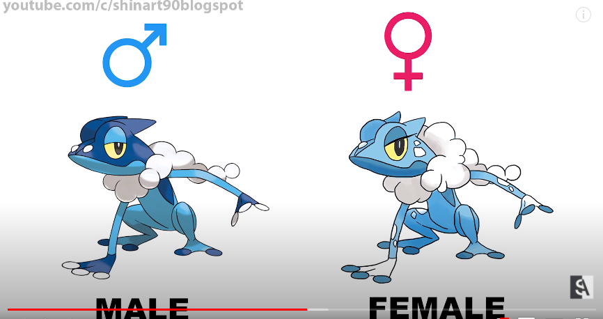 Froakie Evolution Chart
