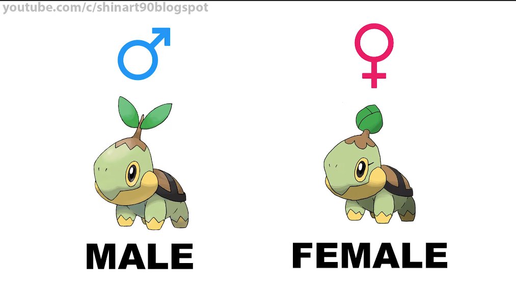 Pokemon Turtwig Evolution Chart