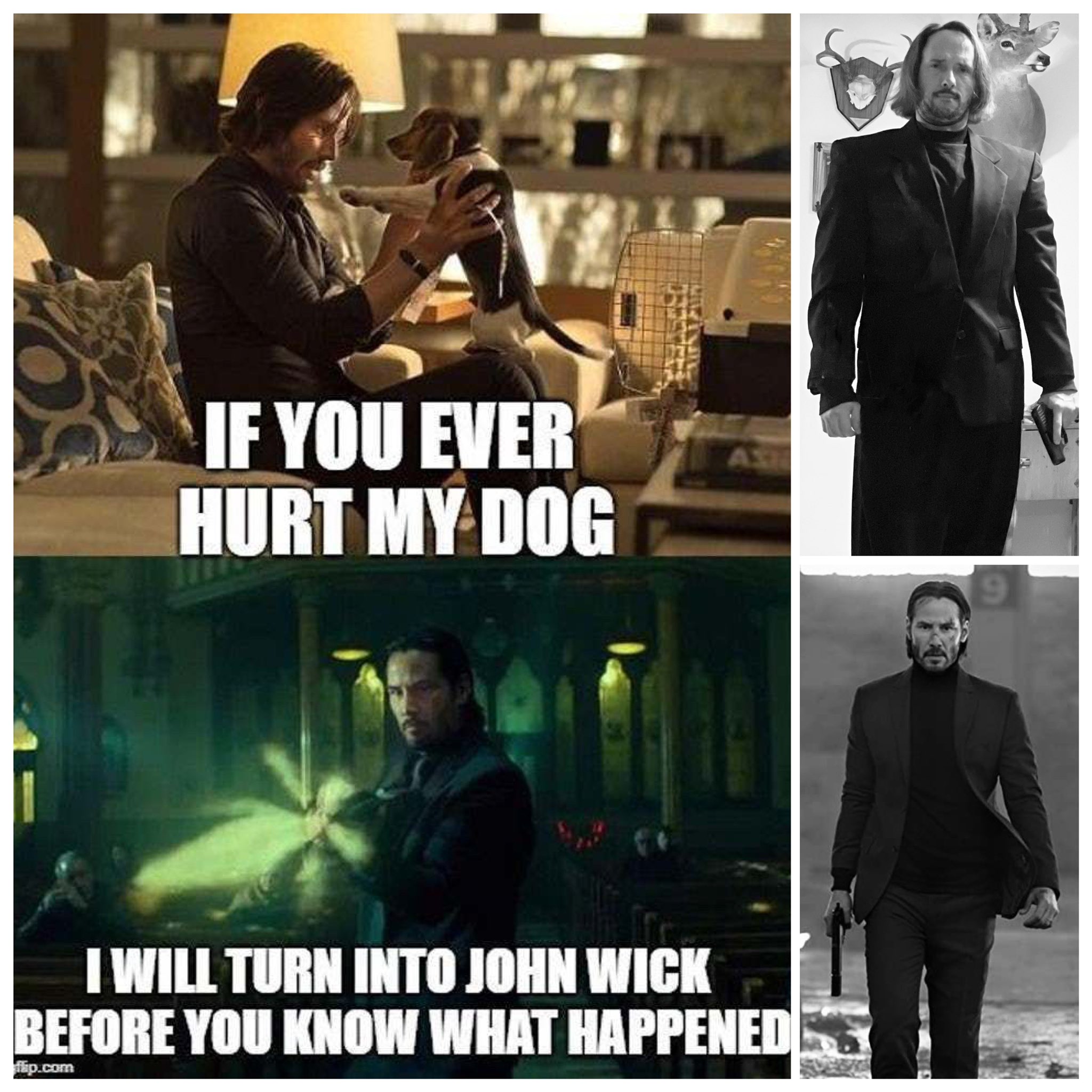 John Wick Meme
