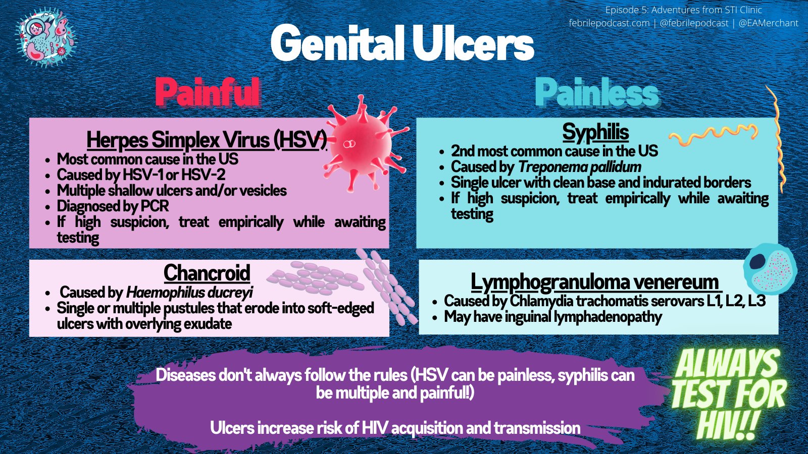 Painless Penile Ulcer