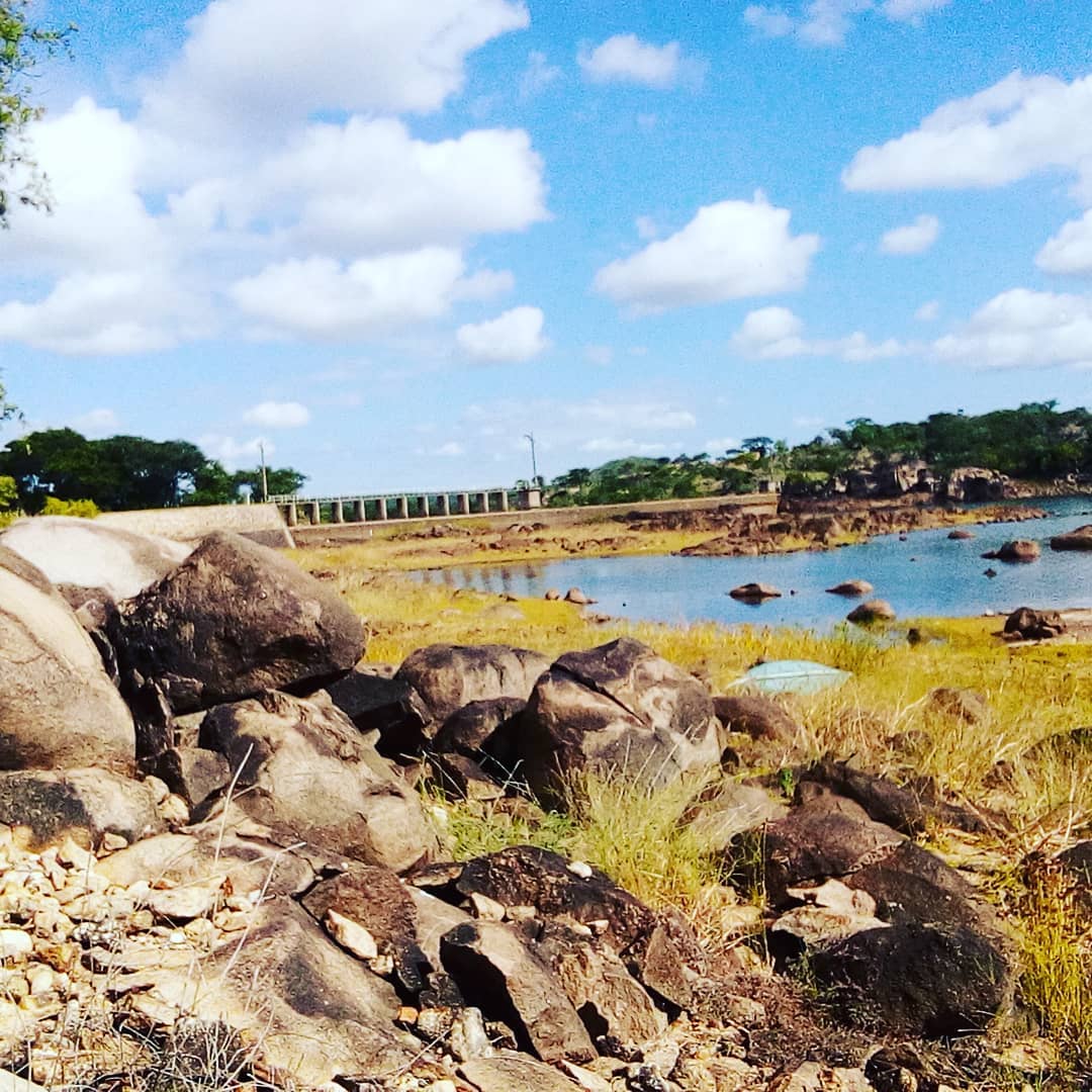 Zim Local @zimlocals Timeline, The Visualized Twitter (Analytics)