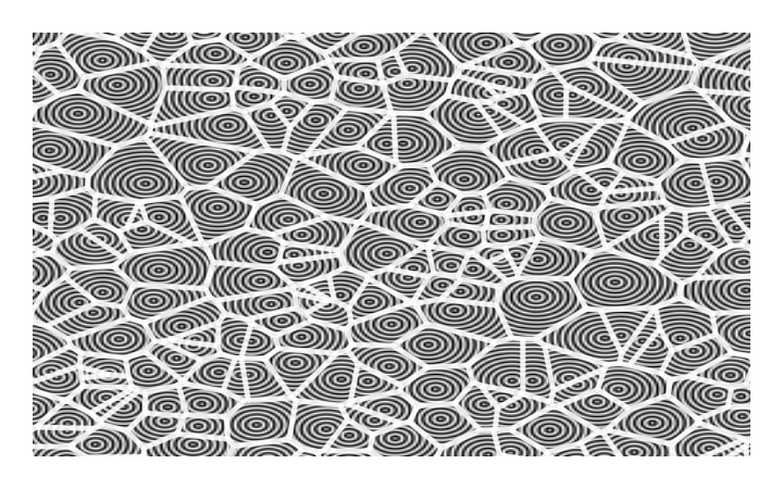 Moritz Schauer's Threads – Thread Reader App