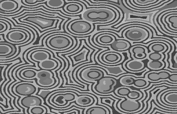 Moritz Schauer's Threads – Thread Reader App