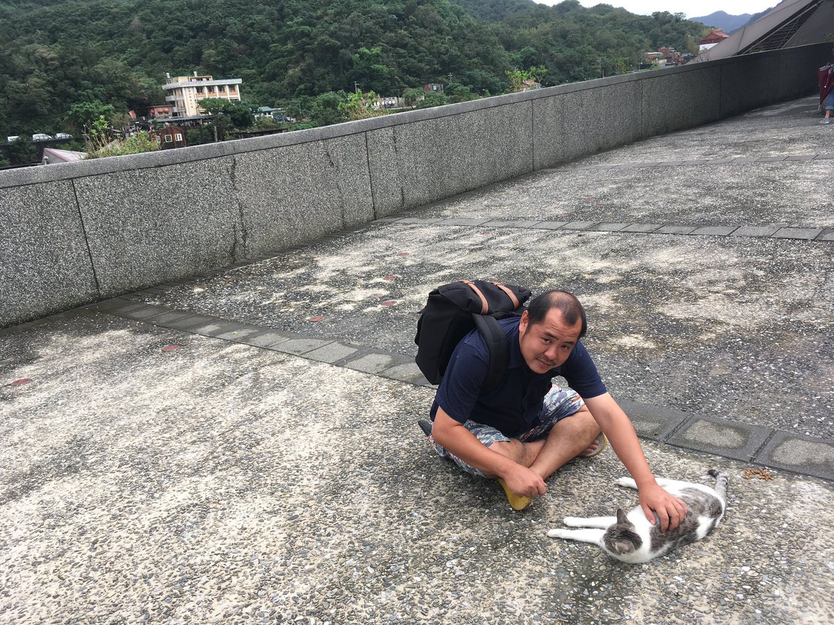 根間タダシ On Twitter 台湾パイン🍍🇹🇼と日本の恩返し🇯🇵🤝が話題になって心ふるふるですが、猫ちゃん好きな僕は猴硐ホウトンもオススメしますので是非行ってみて下さいな。台湾加油