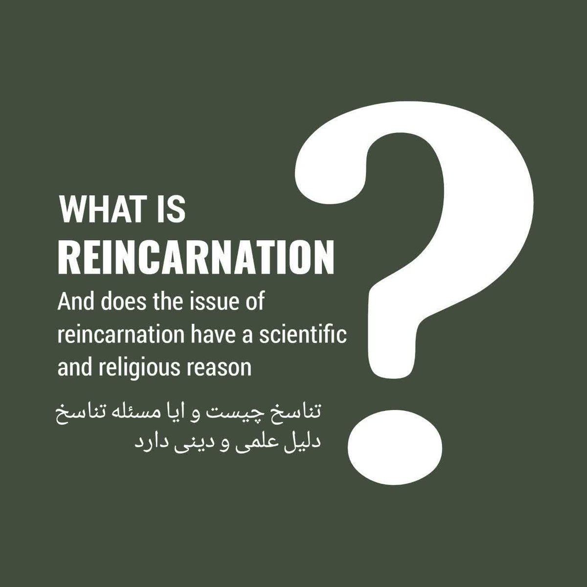 Reincarnation Definition