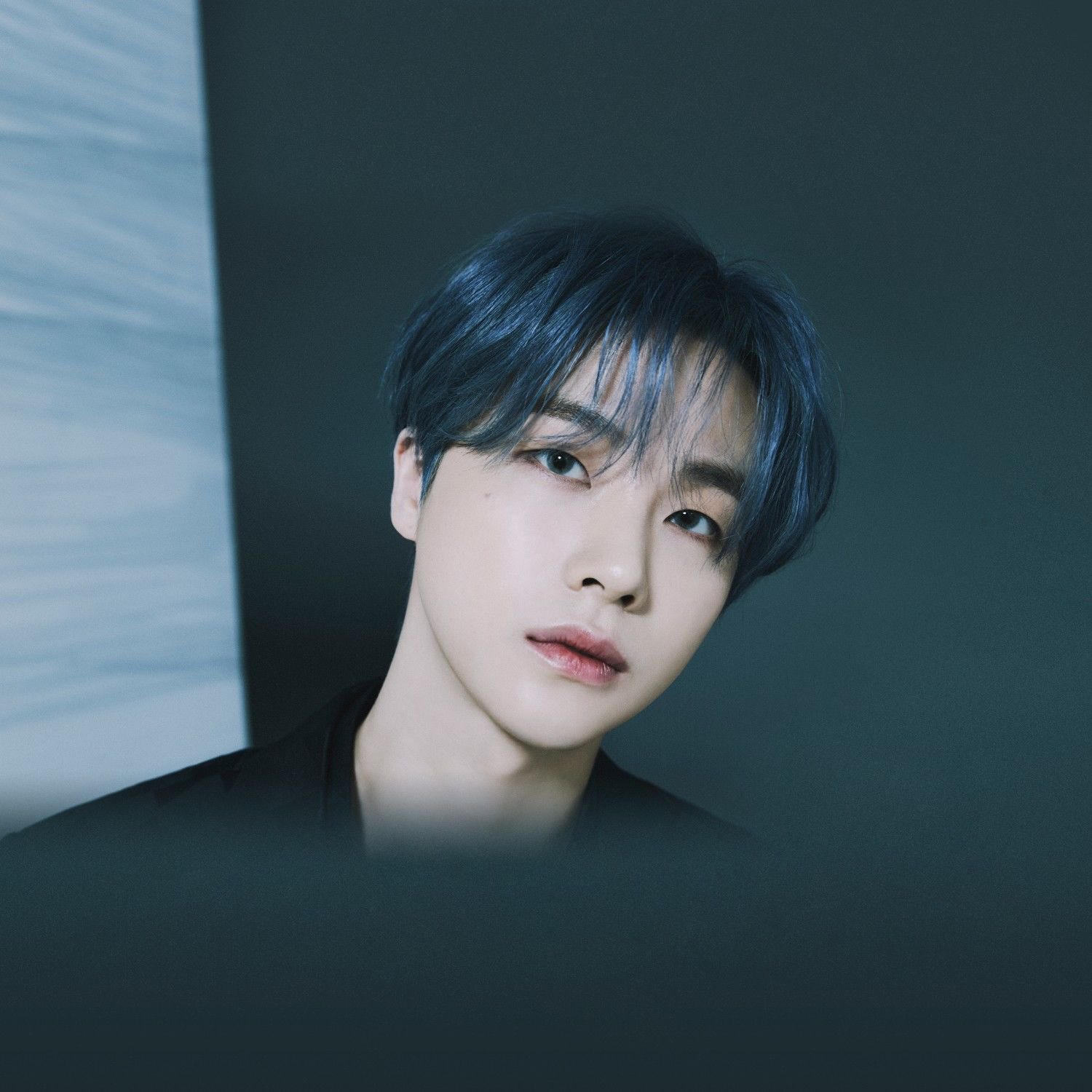 iKON Members Profile (Updated!) iKON Members Profile (Updated!)