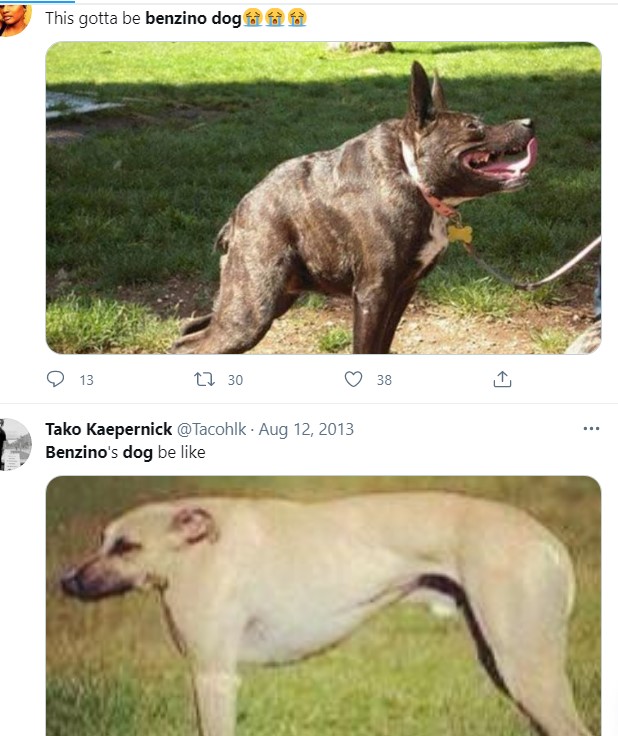Benzino Dog Meme