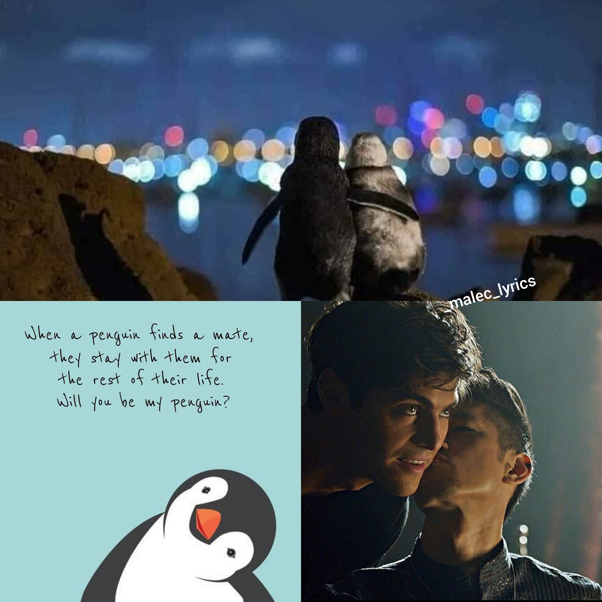 Will You Be My Penguin