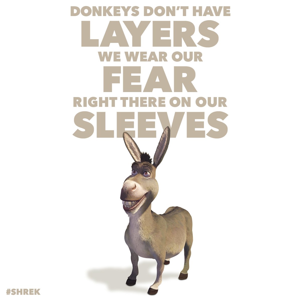 Shrek And Donkey Quotes