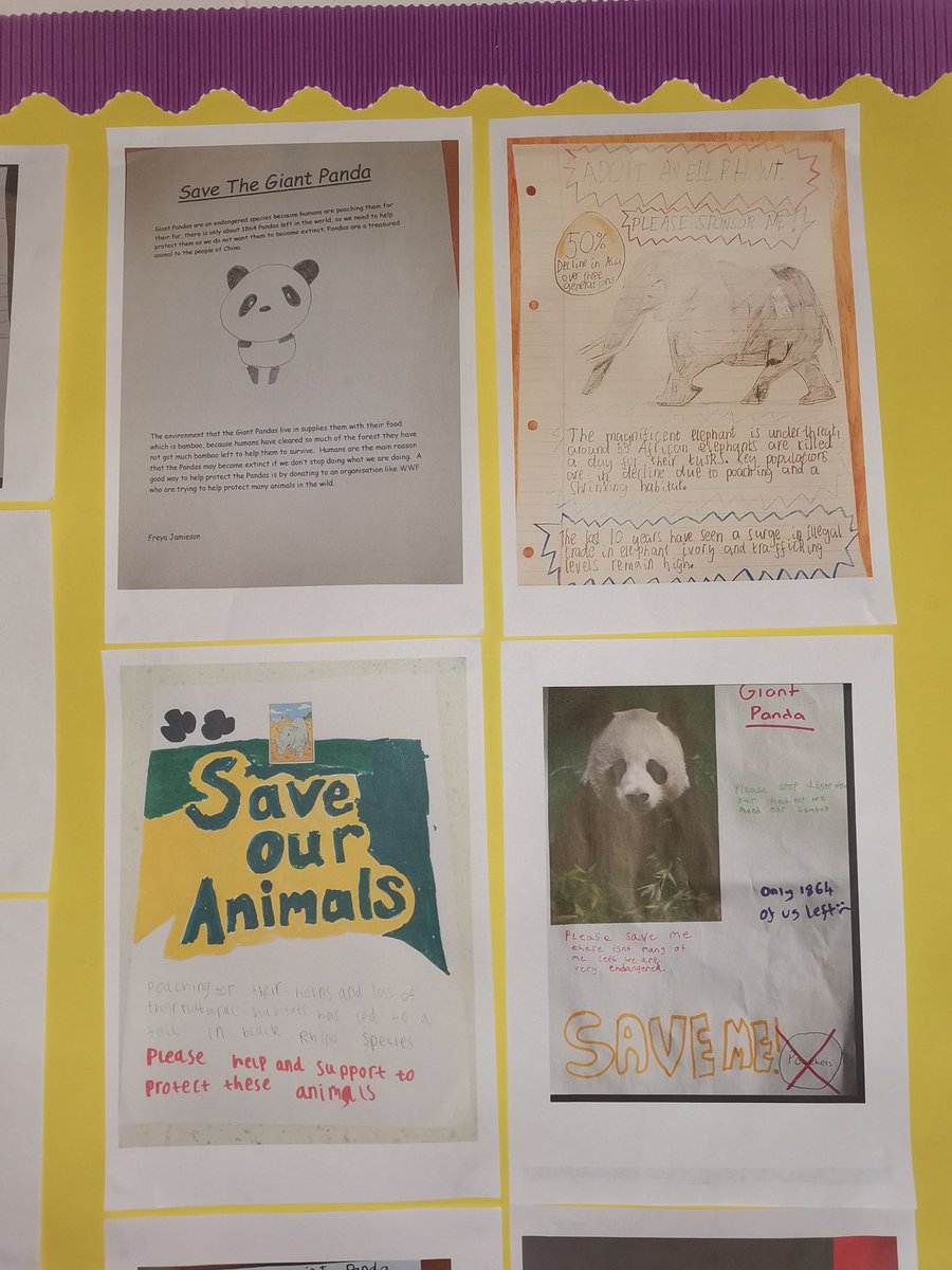 Endangered Animals Poster Project