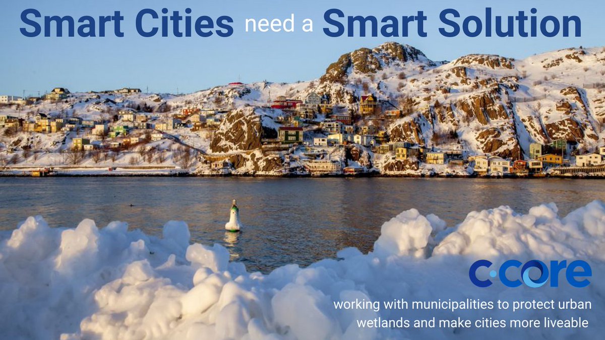 C-CORE (@ccore1975) | Twitter