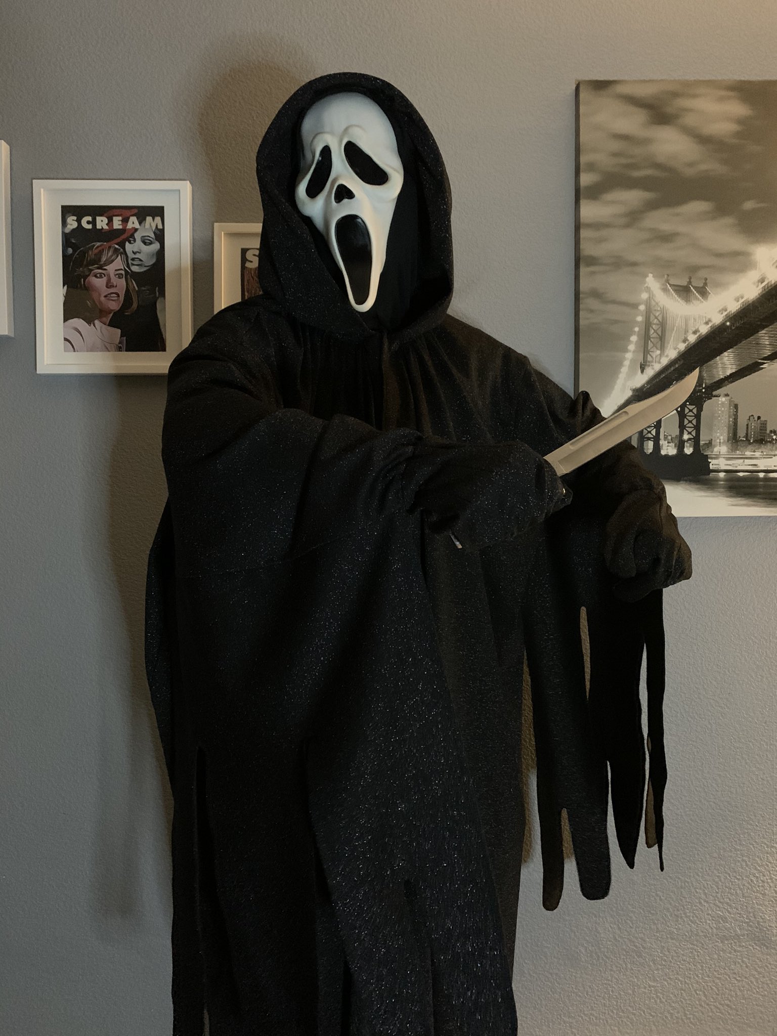 Scream 1 Costume