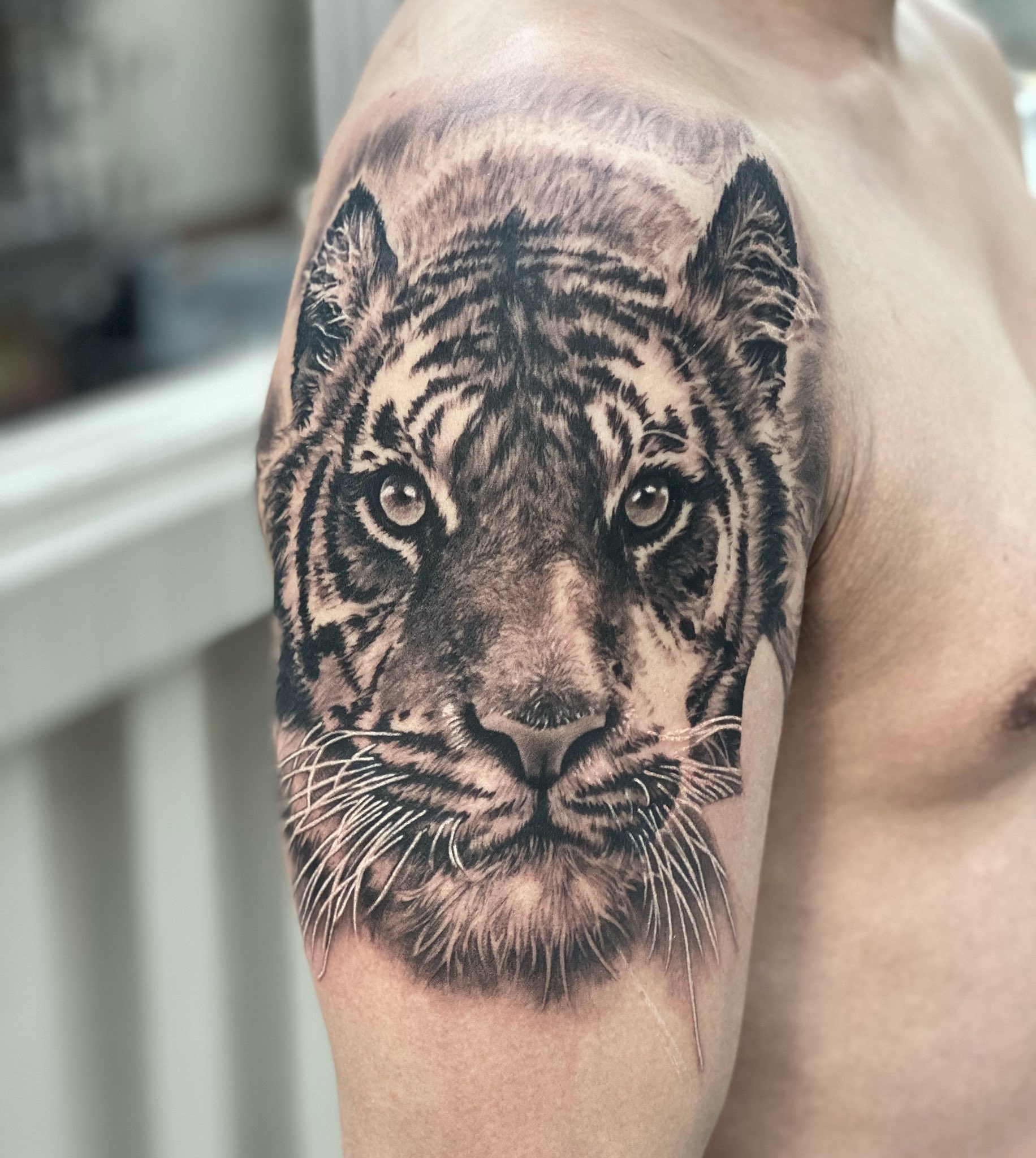 ZINK Tattoo on Twitter: "Ongoing #Tigertattoo by Zac (IG: @zinktattoozac) 📸 https://t.co ...