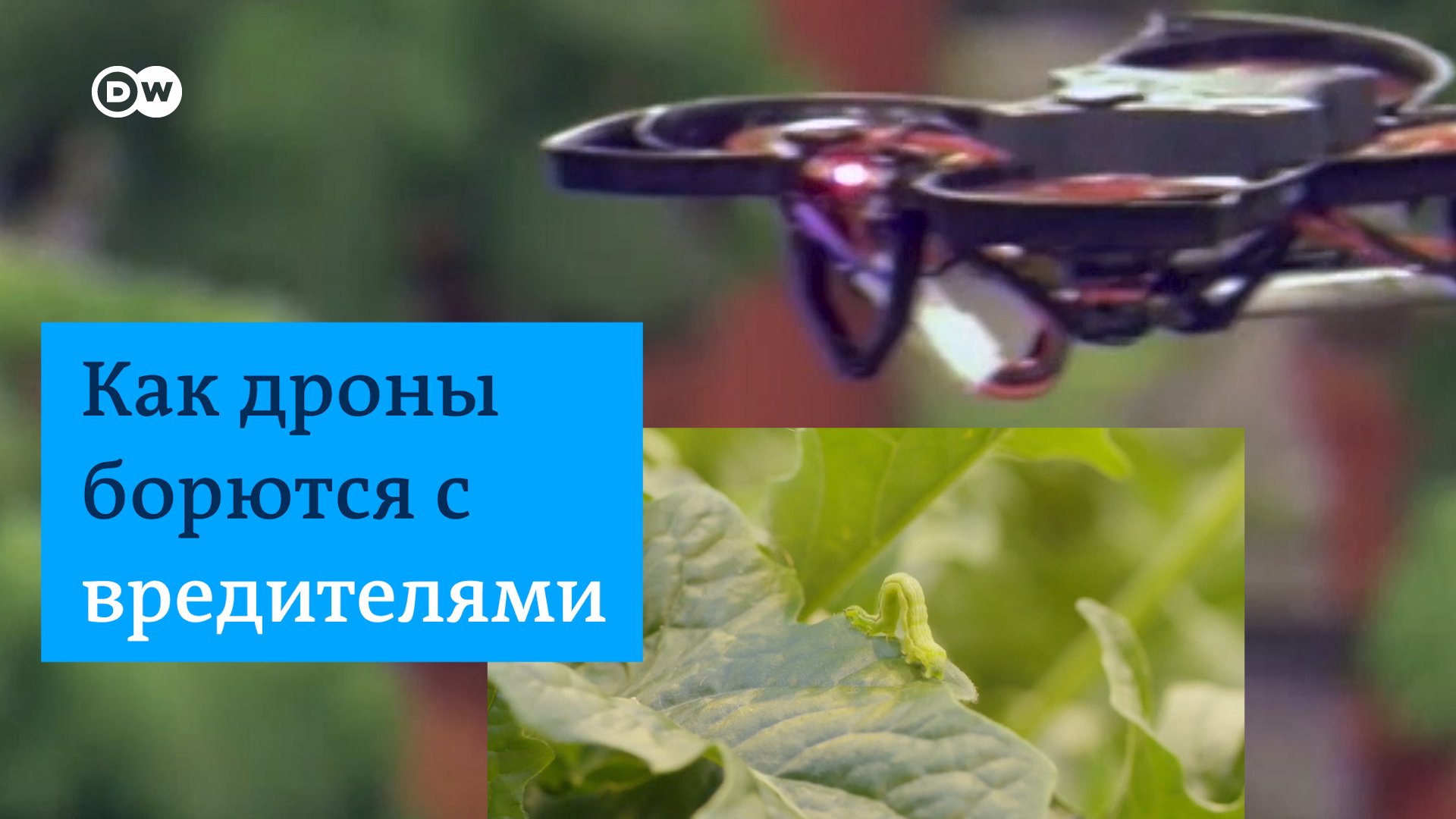 Artem Moskalev (@artemmoskalev) / Twitter