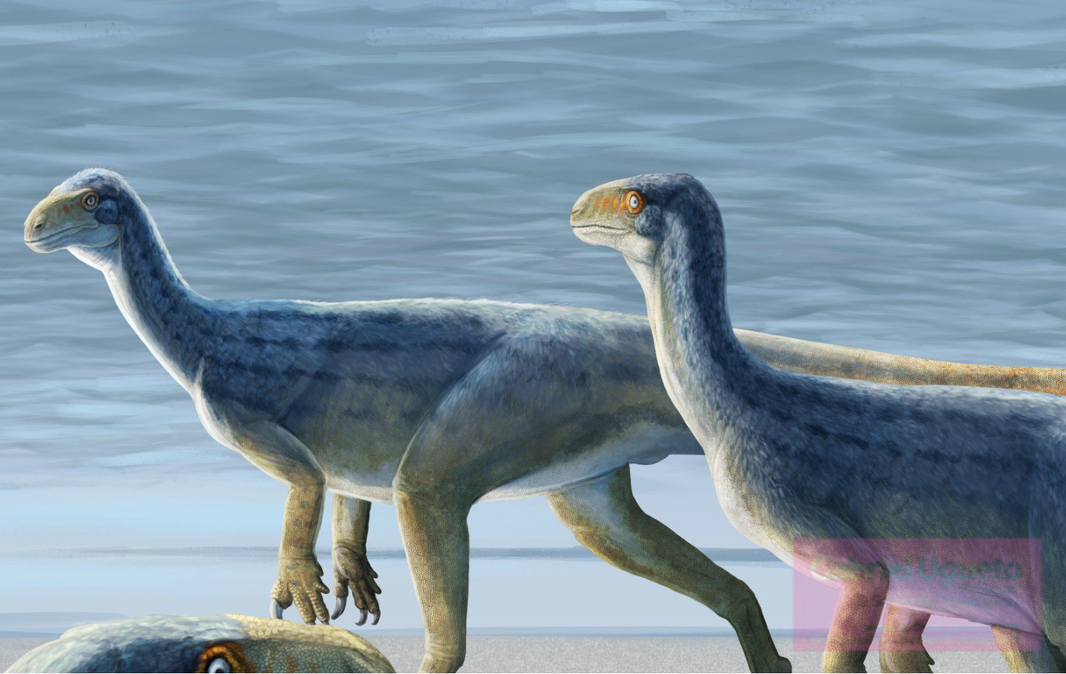 Thecodontosaurus